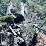 Begbie Falls, British Columbia, Canada - 165 Reviews, Map | AllTrails