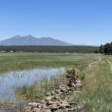 Gold Digger Trail to Two Spot Trail Loop, Arizona - 195 Reviews, Map ...