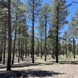 Gold Digger Trail to Two Spot Trail Loop, Arizona - 195 Reviews, Map ...