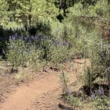 Gold Digger Trail to Two Spot Trail Loop, Arizona - 195 Reviews, Map ...