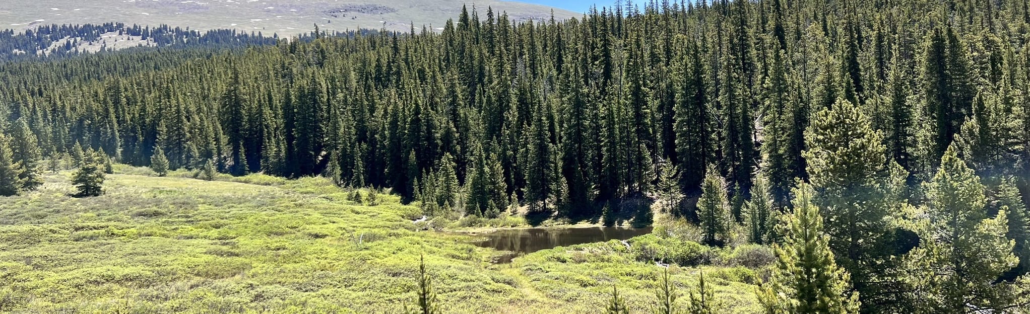 Vance's Cabin, Colorado - 145 Reviews, Map | AllTrails