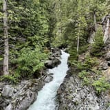 Rainbow Falls Loop, British Columbia, Canada - 711 Reviews, Map | AllTrails