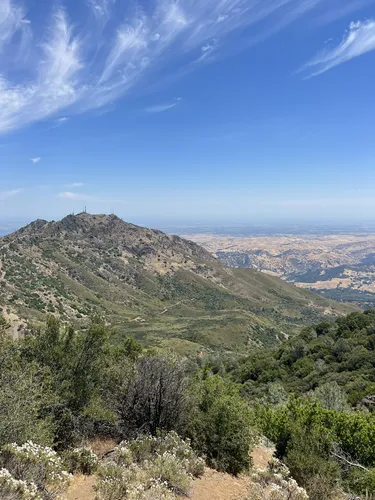 Best Camping Trails in Mount Diablo State Park | AllTrails