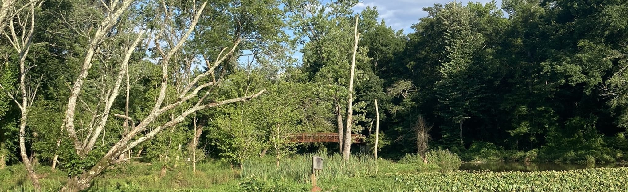 Lake Conestee Lake Bed Loop: 524 Reviews, Map - South Carolina | AllTrails