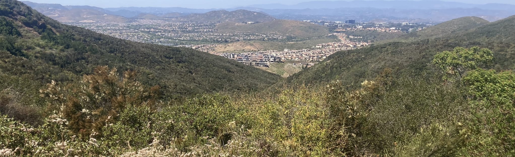 Little Black Mountain Loop, California - 140 Reviews, Map | AllTrails
