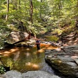 Trout Run Trail, Pennsylvania - 308 Reviews, Map | AllTrails