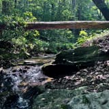 Trout Run Trail, Pennsylvania - 308 Reviews, Map | AllTrails