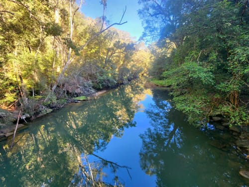 Best Cave Trails in Brisbane Water National Park | AllTrails