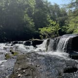 Savage Falls, Tennessee - 660 Reviews, Map | AllTrails
