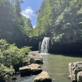 Savage Falls, Tennessee - 660 Reviews, Map | AllTrails