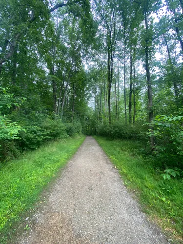 Best Moderate Trails in South Chagrin Reservation | AllTrails