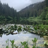 Two Lakes Trail, Alaska - 380 Reviews, Map | AllTrails