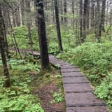 Two Lakes Trail, Alaska - 380 Reviews, Map | AllTrails