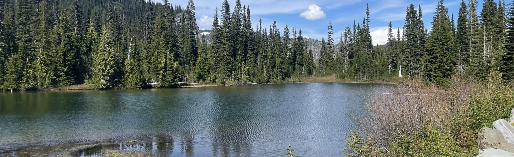 Faraway Rock via Reflection Lakes: 174 Reviews, Map - Washington ...