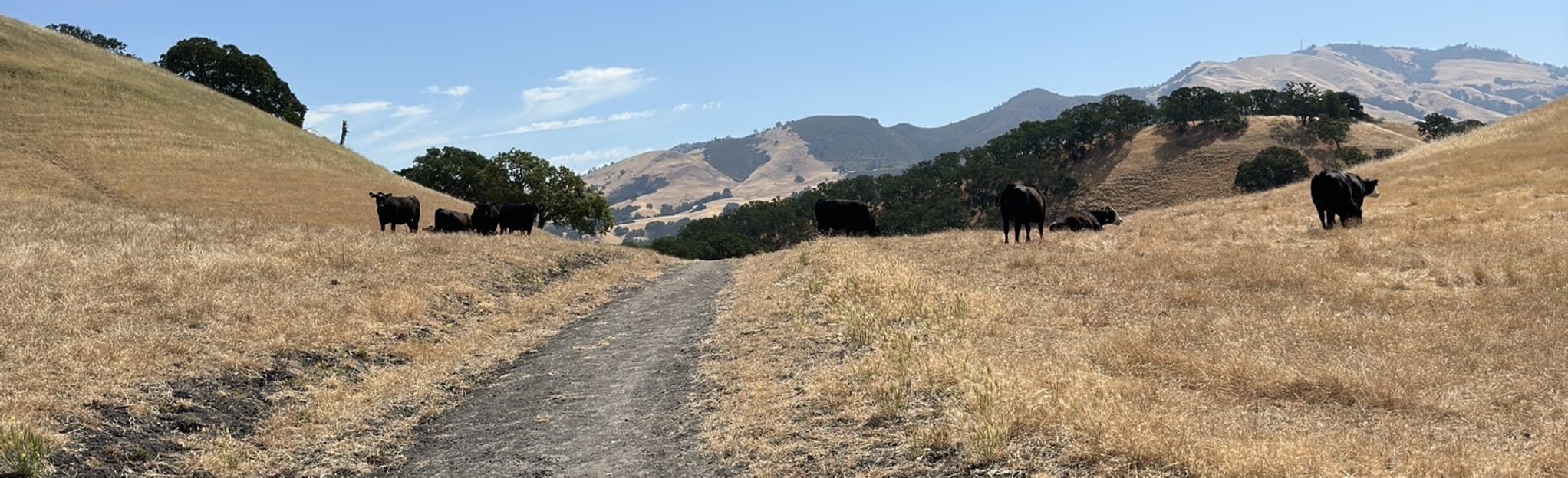 Stage Road, Shell Ridge Loop, Castle Rock Trails: 175 Reviews, Map ...