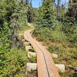 Summit Trail to Wickersham Dome, Alaska - 232 Reviews, Map | AllTrails
