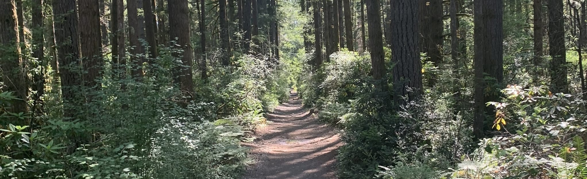 Tahuya River, Connector, and Mission Creek Trails Loop: 23 Reviews, Map ...