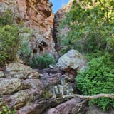 Barnhardt Trail Waterfall, Arizona - 730 Reviews, Map | AllTrails