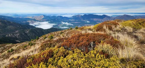 10 Best Walking Trails in Hanmer Springs | AllTrails