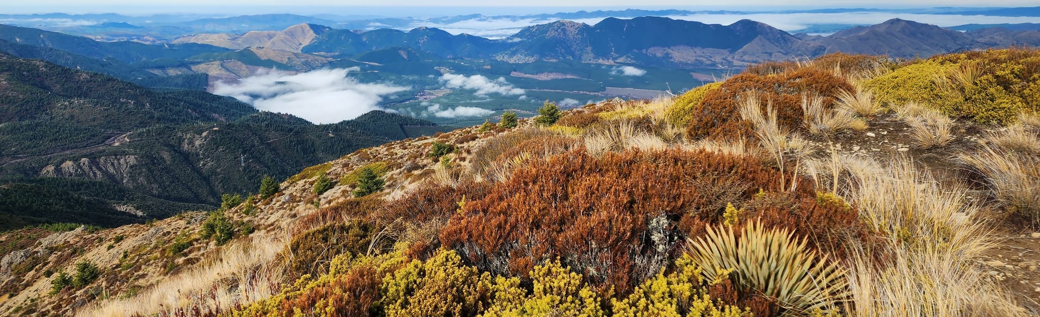 Mount Isobel via Waterfall Track, Canterbury, New Zealand - 71 Reviews ...