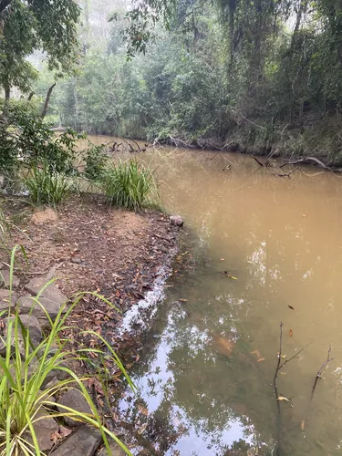 Best Forest Trails in Cordalba | AllTrails