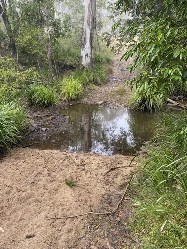 Best Forest Trails in Cordalba | AllTrails