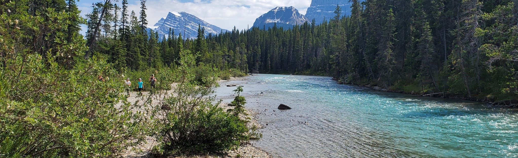 Chephren Lake Trail, Alberta, Canada - 386 Reviews, Map | AllTrails