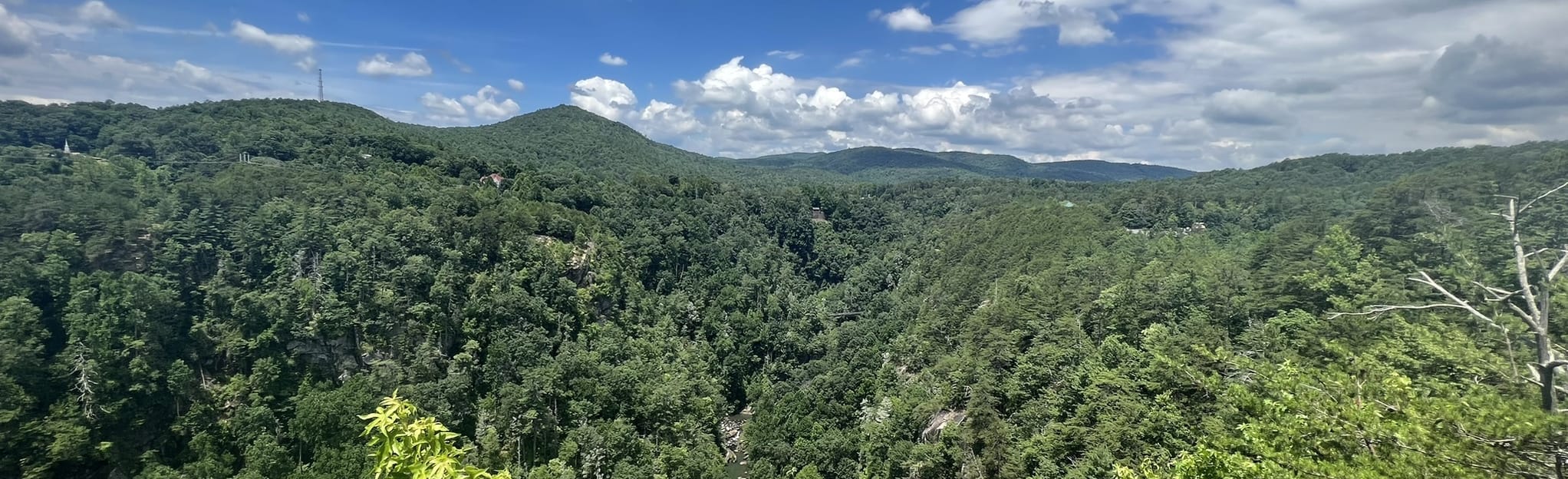 High Bluff Trail, Georgia - 203 Reviews, Map | AllTrails