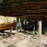 Rockefeller Loop Trail, California - 539 Reviews, Map | AllTrails