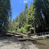 Rockefeller Loop Trail, California - 539 Reviews, Map | AllTrails
