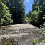 Rockefeller Loop Trail, California - 571 Reviews, Map | AllTrails