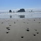 Rialto Beach Trail, Washington - 341 Reviews, Map | AllTrails