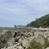 Rialto Beach Trail, Washington - 266 Reviews, Map | AllTrails
