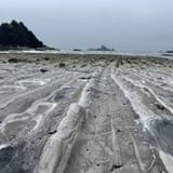 Rialto Beach Trail, Washington - 341 Reviews, Map | AllTrails