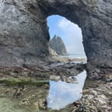 Rialto Beach Trail, Washington - 341 Reviews, Map | AllTrails
