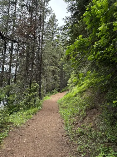 Best Walking Trails in Elgin | AllTrails