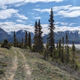 Alsek Valley Trail, Yukon, Canada - 23 Reviews, Map | AllTrails