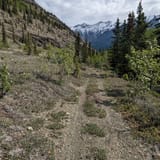 Alsek Valley Trail, Yukon, Canada - 23 Reviews, Map | AllTrails