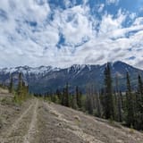 Alsek Valley Trail, Yukon, Canada - 23 Reviews, Map | AllTrails