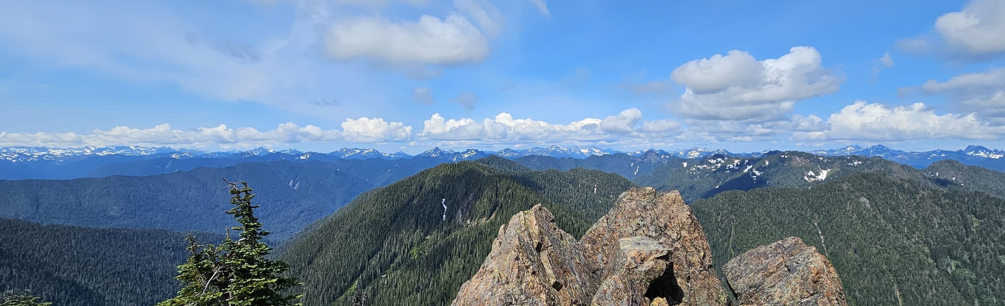 Discovery Peak, Washington - 38 Reviews, Map | AllTrails