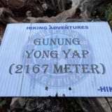 Mount Yong Yap via Pos Renggil, Kelantan, Malaysia - 11 Reviews, Map | AllTrails