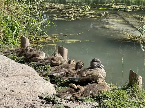 Best Hikes and Trails in Weston Turville Reservoir | AllTrails