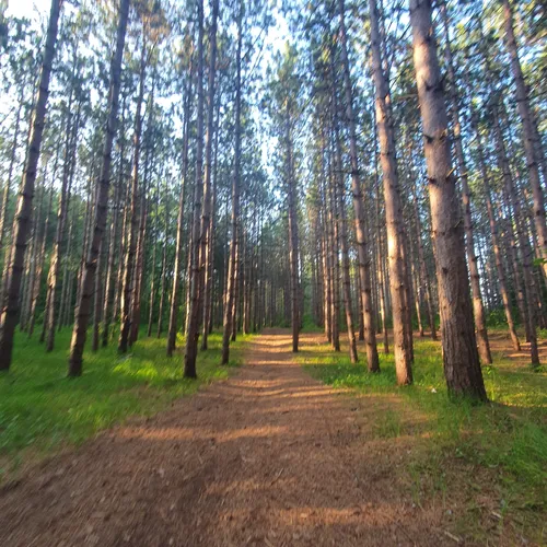 Beste wandelingen en routes in Holland Landing Prairie Provincial ...