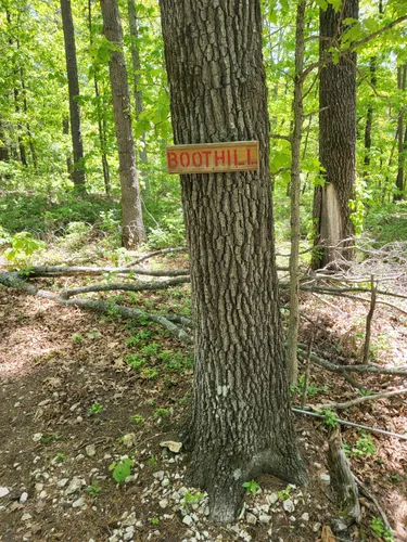 Best Hikes and Trails in Huckleberry Ridge Conservation Area | AllTrails