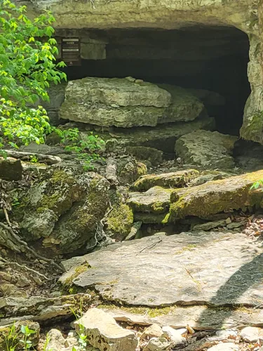 Best Hikes and Trails in Huckleberry Ridge Conservation Area | AllTrails