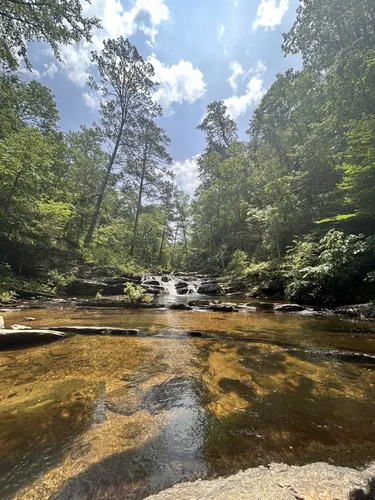 10 Best Hikes and Trails in Cheaha Wilderness | AllTrails