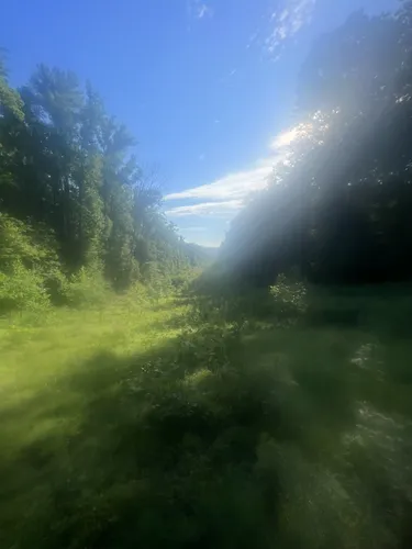 Best Hikes and Trails in Oregon Ridge Park | AllTrails