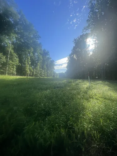 Best Hikes and Trails in Oregon Ridge Park | AllTrails