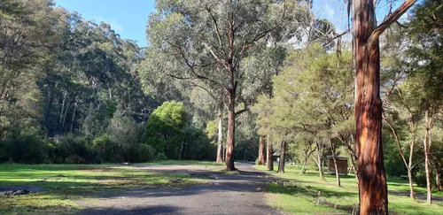 Moondarra State Park: de beste routes om te wandelen | AllTrails