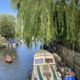 Stodmarsh NNR Circular, Kent, England - 89 Reviews, Map | AllTrails